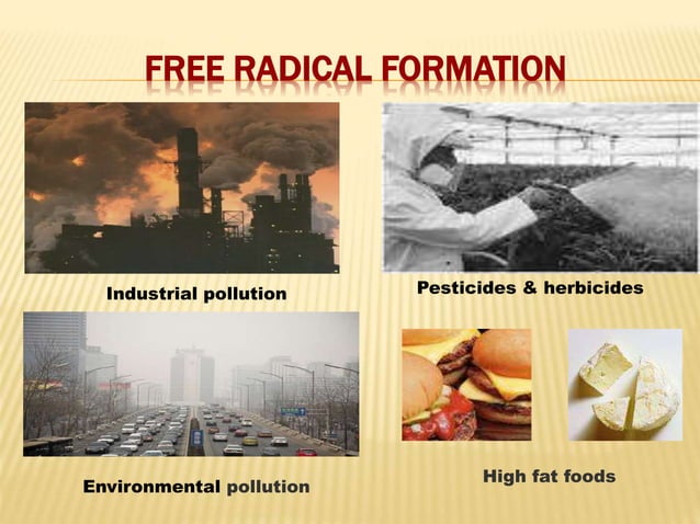 Free redical vs antioxident | PPTX