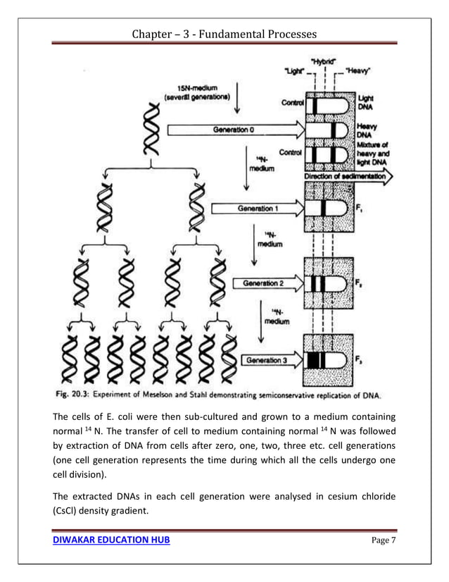 CSIR NET Life Science book.pdf [Sample] | PDF | Physics | Science