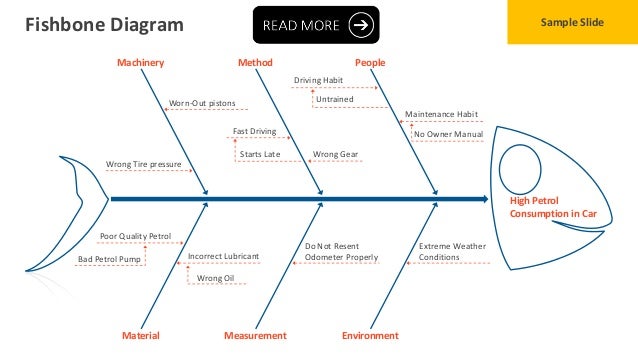 Download Free Sample Slide of a Fishbone Diagram