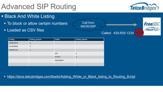 FreeSBC How To - Advanced SIP Routing | PPT