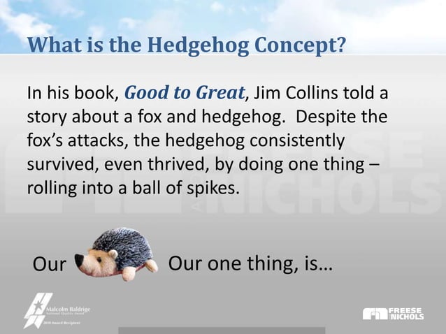 Freese and Nichols Hedgehog Concept | PPT