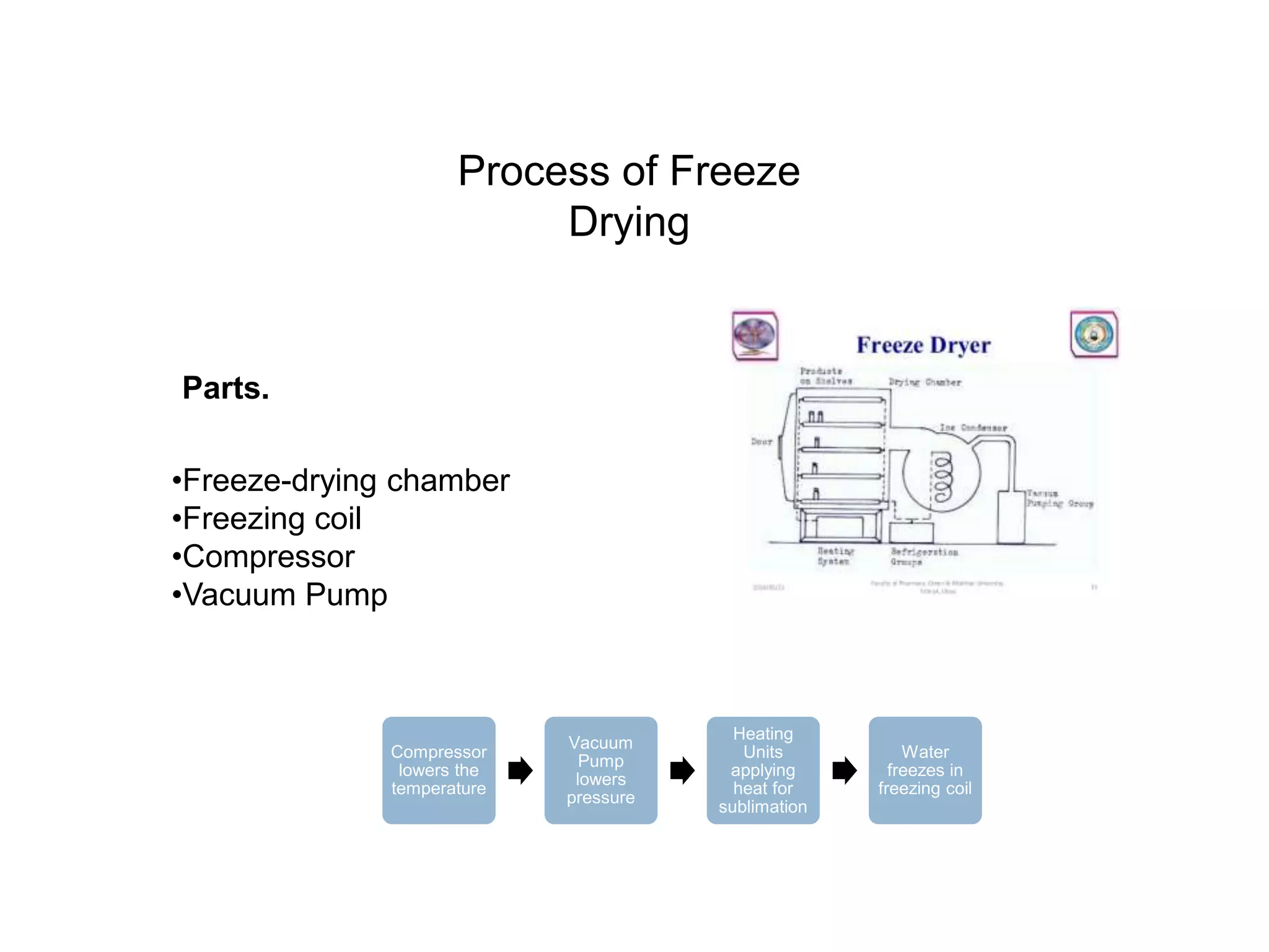 Freeze Drying | PPTX