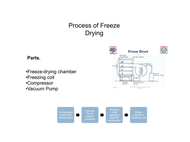 Freeze Drying | PPTX