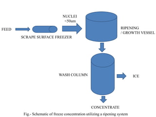 Freeze Concentration | PPTX