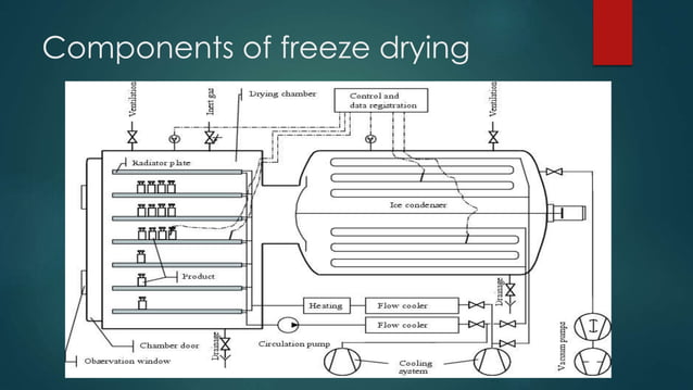 Freeze drying | PPT