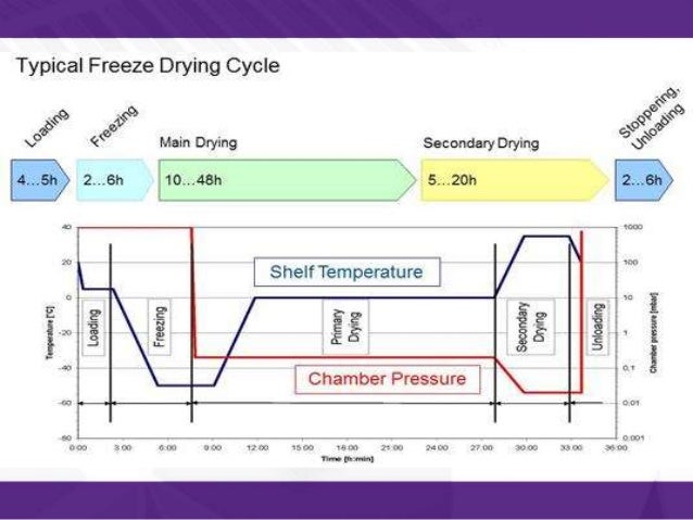 Freeze drying