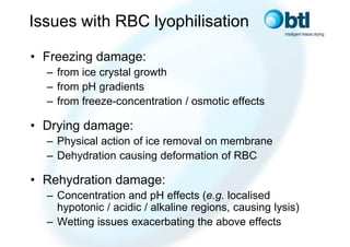 Freeze Drying Of Red Blood Cells | PDF