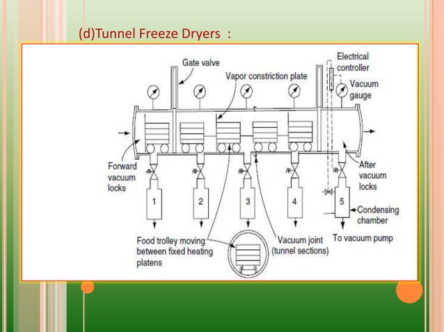 Freeze drying ppt | PPSX