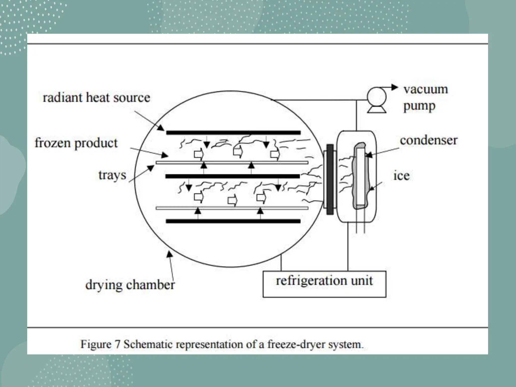 freeze drying ppt and lyophilization.pptx