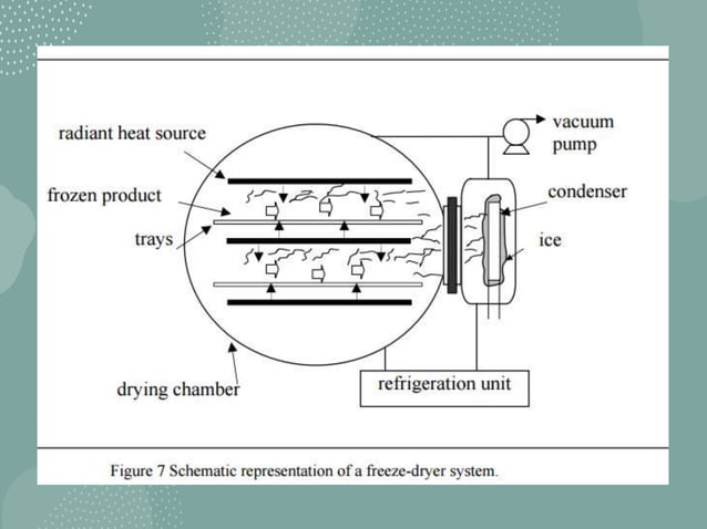 freeze drying ppt and lyophilization.pptx | Chemistry | Science