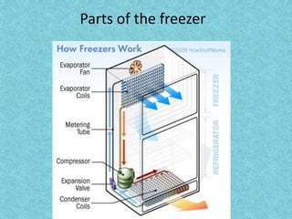 The Freezer | PPT