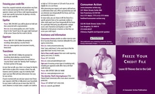 Freeze Your Credit File | PDF