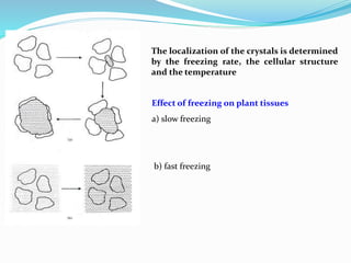 Freezing | PPTX | Chemistry | Science