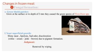 Presentation about Freezing mechanism .pdf
