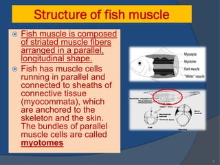 Freezing and thawing process (atcharaporn khoomtong) | PPT