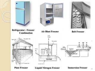 Freezing of fruits and vegetables | PPTX
