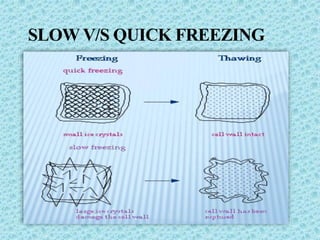 Freezing pdf | PDF