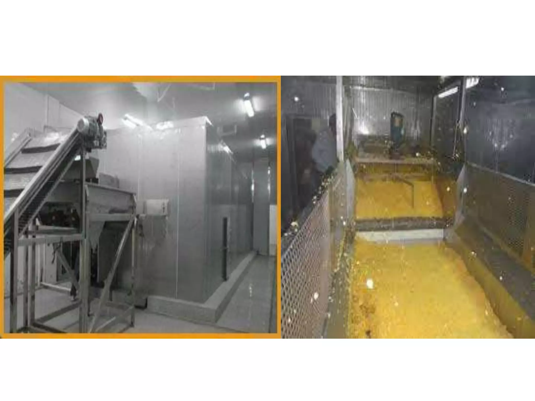 Freezing ppt p.divya | PPTX