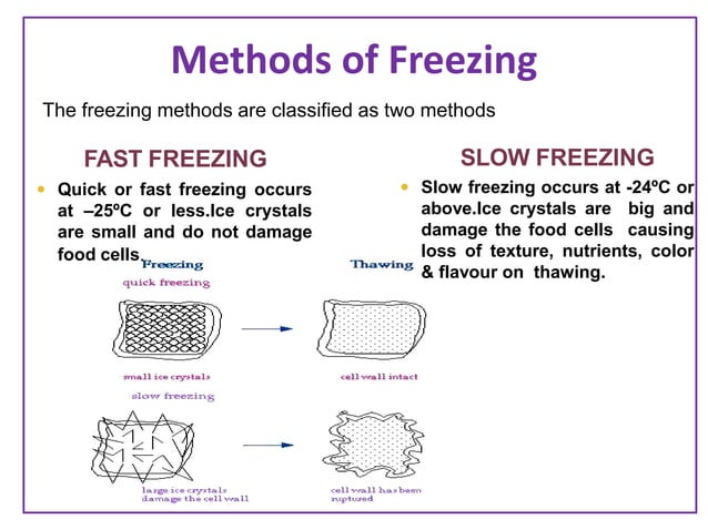 Freezing ppt p.divya | PPT