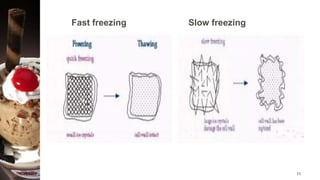 Freezing pptx everything | PPT