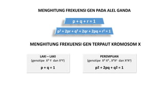 Frekuensi gen didalam populasi | PPTX