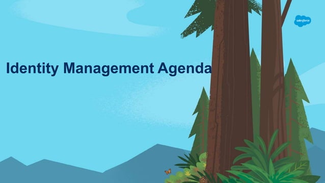 Salesforce Identity Management | PPT