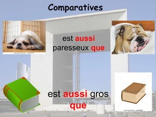 French Grammar for Beginners | PPTX