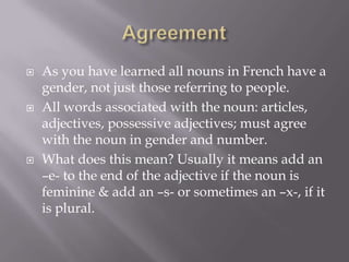 French adjectives | PPTX