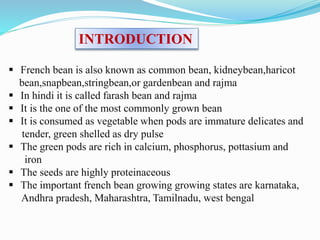 Production technology of french bean | PPTX