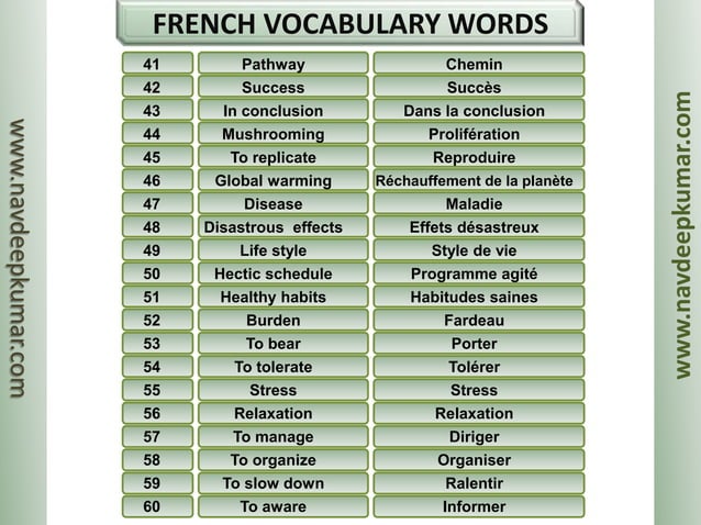French DELF B1 Vocabulary | PPTX