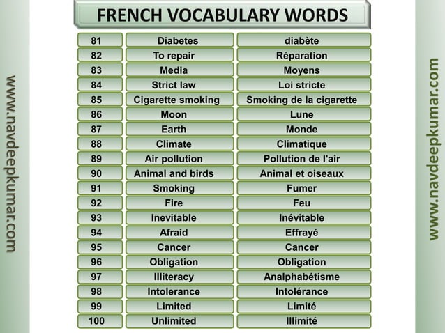 French DELF B1 Vocabulary | PPTX