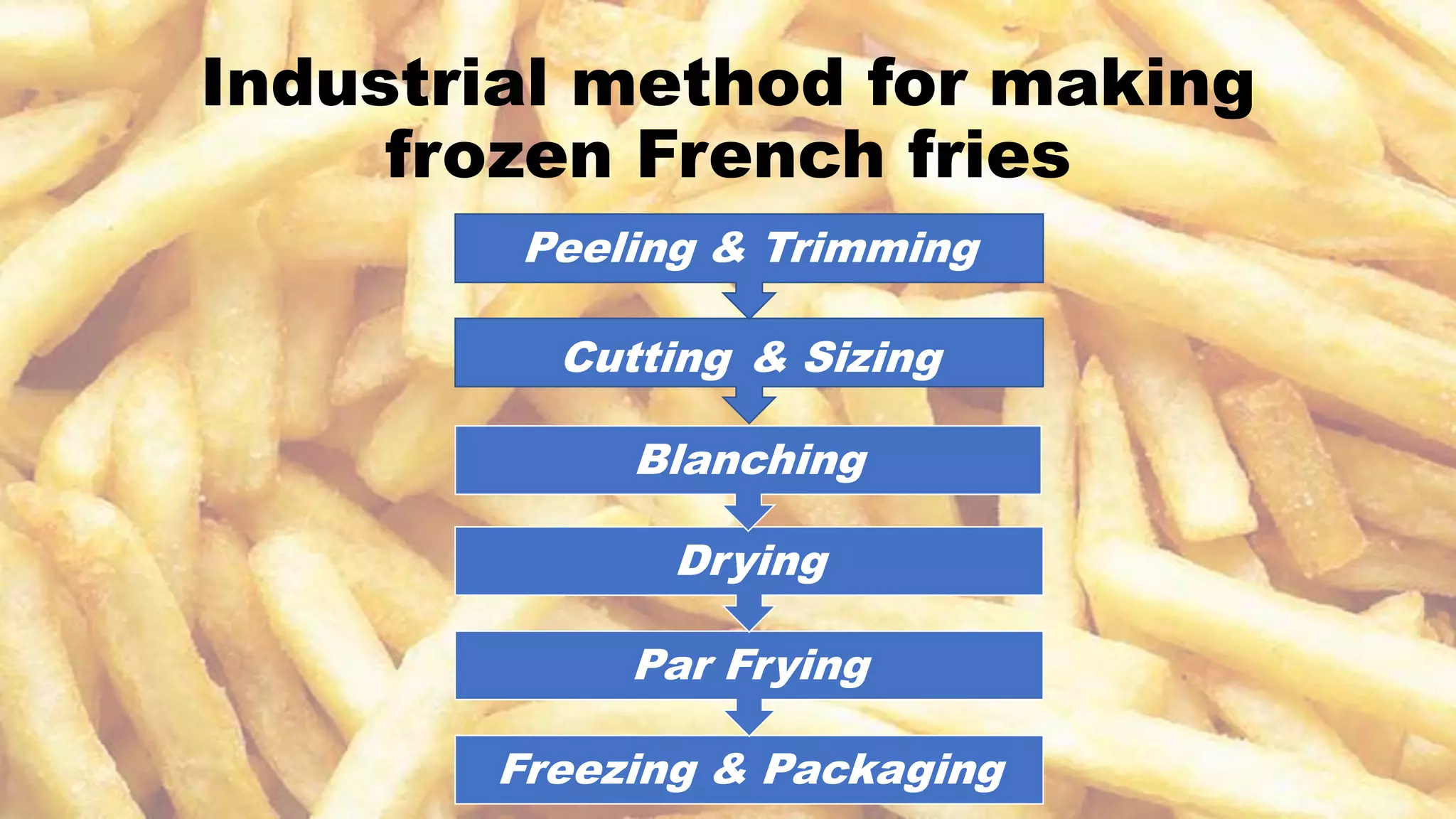 FRENCH FRIES - PROCESSING | PPTX