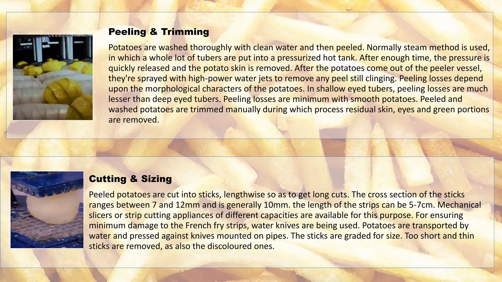 FRENCH FRIES - PROCESSING | PPTX