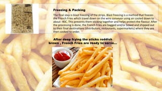 FRENCH FRIES - PROCESSING | PPTX