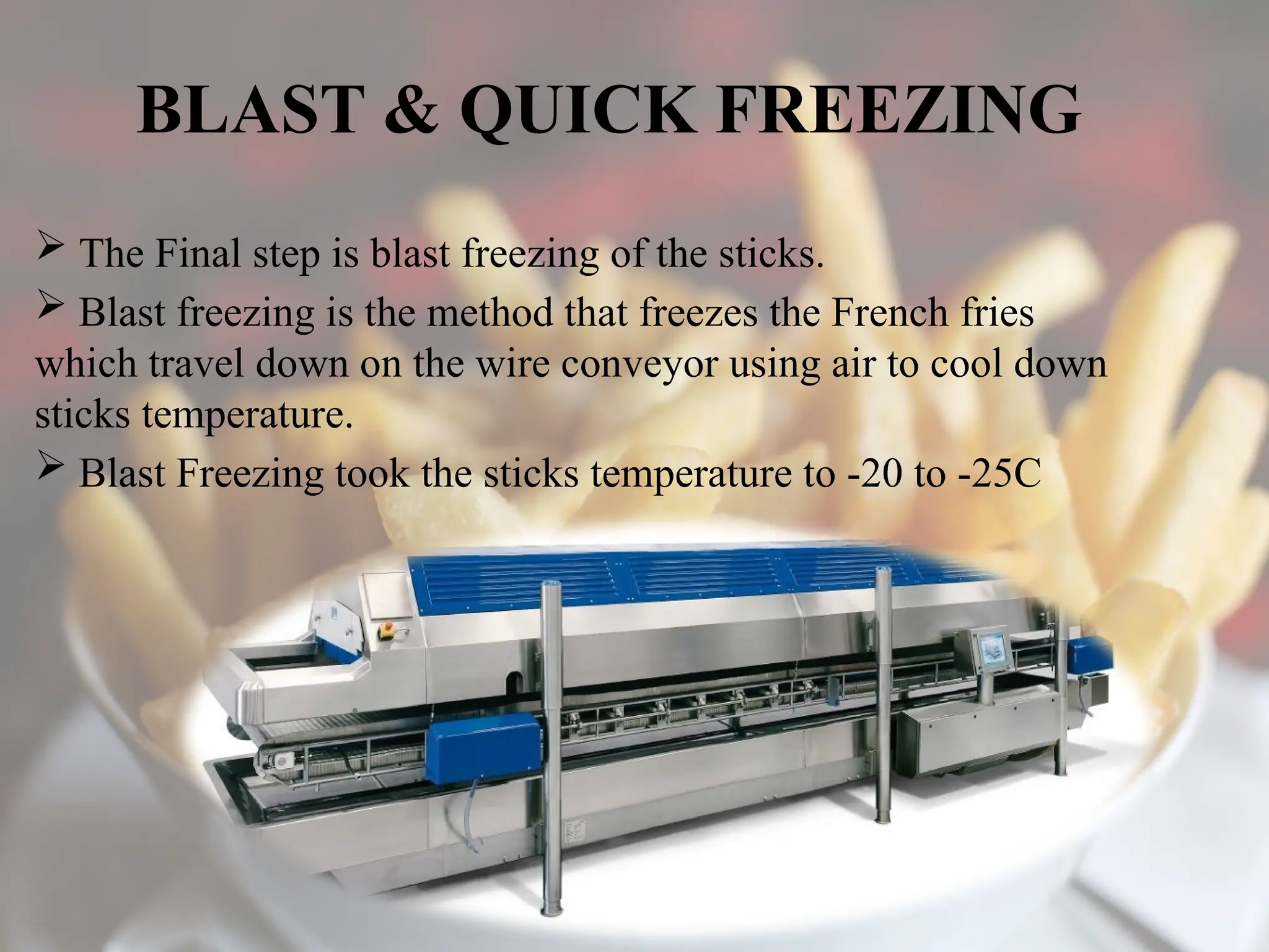 French Fries Process Line in industry.pptx