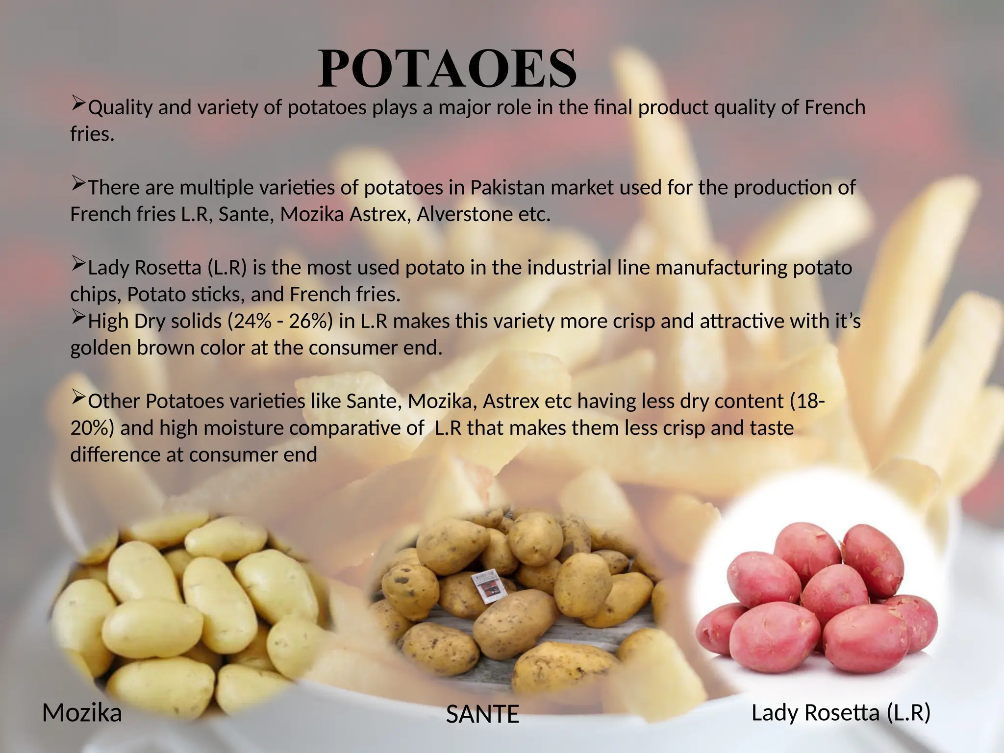French Fries Process Line in industry.pptx