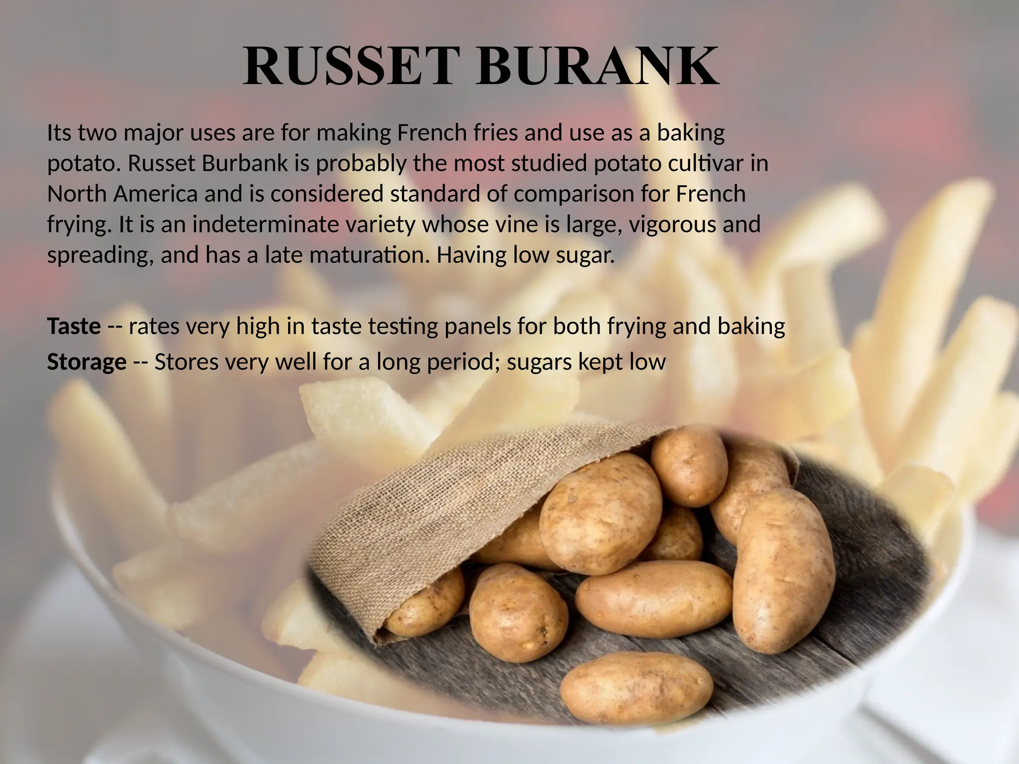 French Fries Process Line in industry.pptx