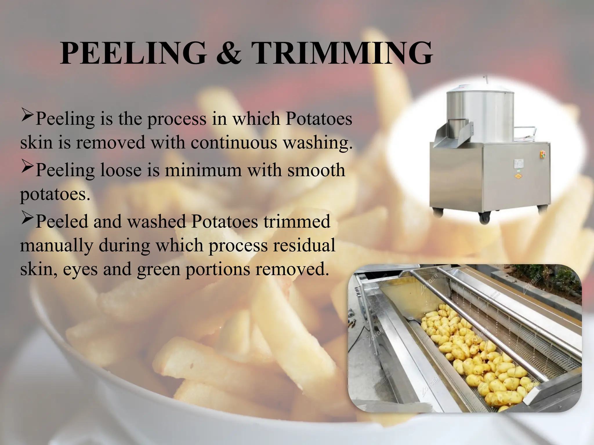 French Fries Process Line in industry.pptx