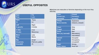 ESSENTIAL WORDS AND PHRASES Here are some basic words and phrases that ...