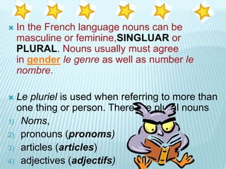 French pluriel | PPTX