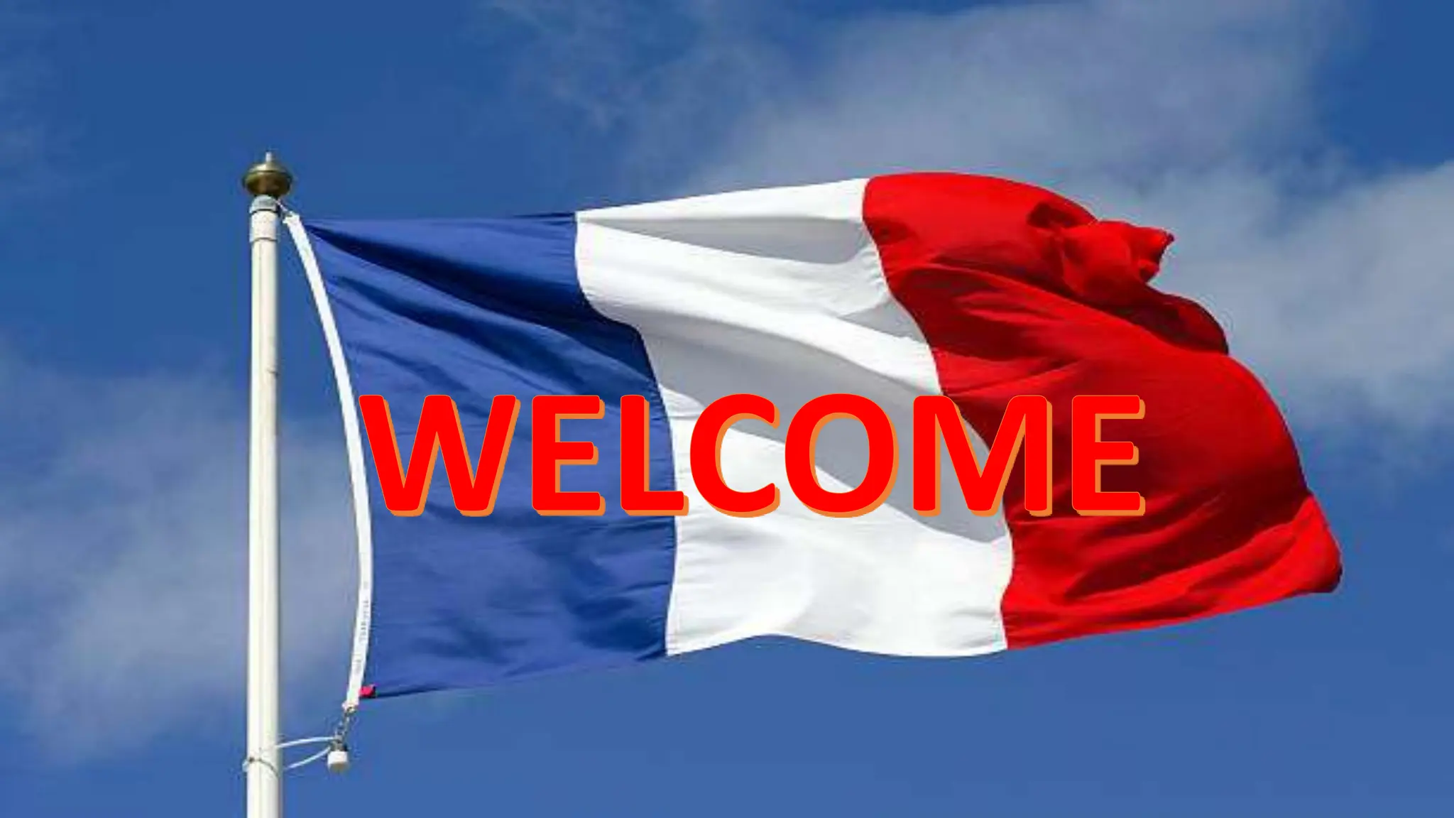 Class 9Social, French Revolution quiz.pptx