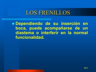 Frenillos - Frenectomia.cirugia basica y metodos | PPTX