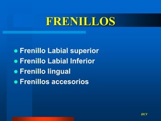Frenillos - Frenectomia.cirugia basica y metodos | PPTX