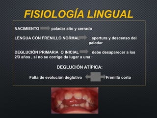 Frenillos Bucales su importancia en Ortodoncia | PPTX