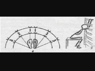 Frenkels Coordination Exercises Pictures