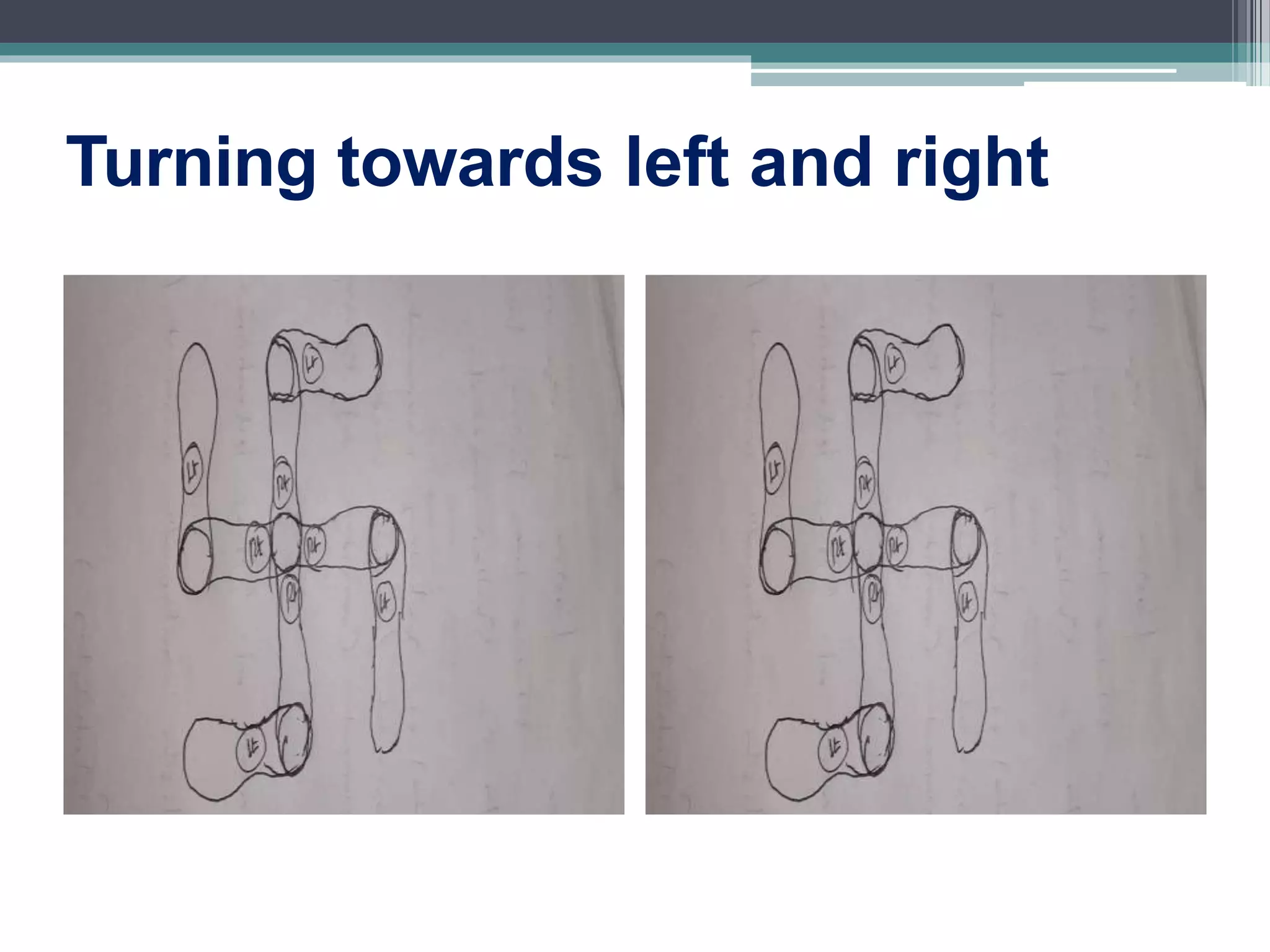 Frenkel’s exercises.pptx