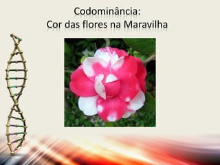 Codominancia e letalidade | PDF