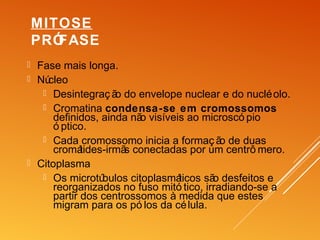 Frente 1 módulo 4 ciclo e divisao celular mitose | PPT