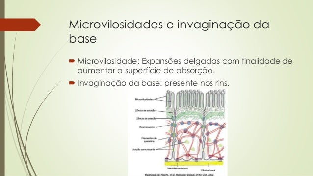 Frente 1 modulo 2 membrana plasmatica