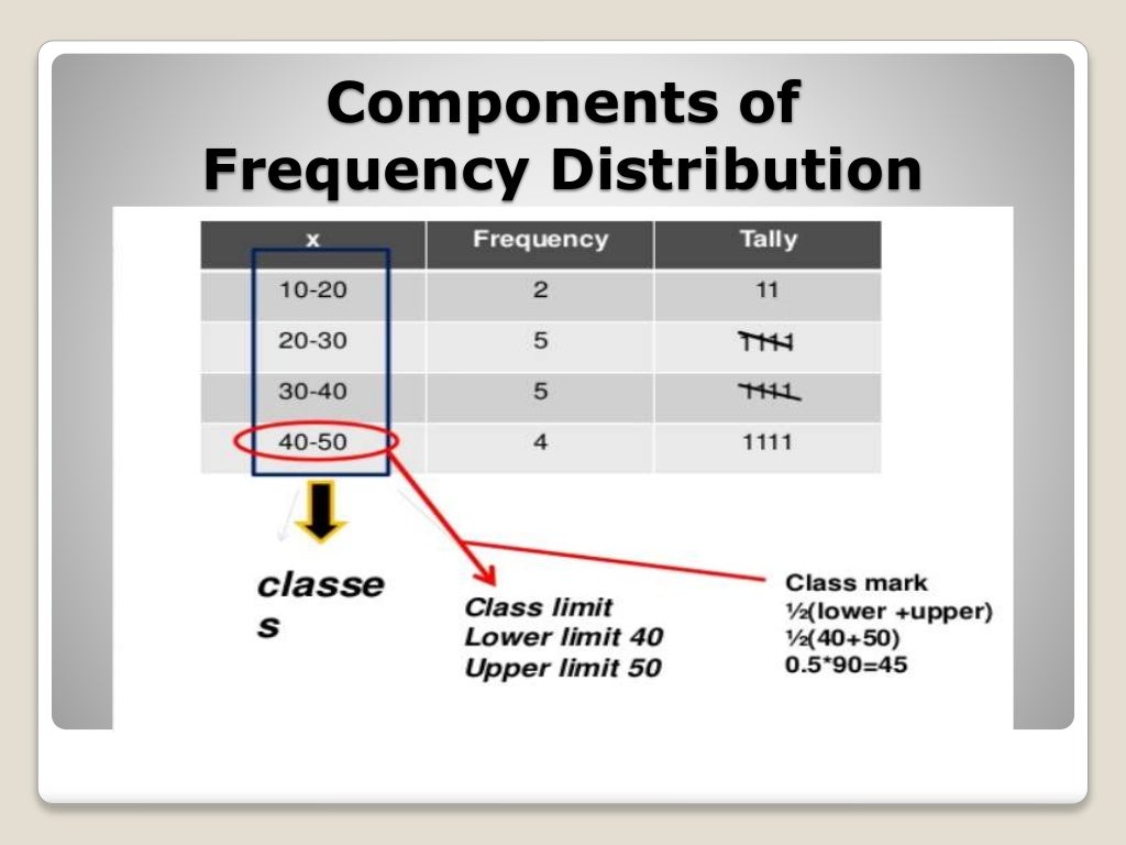 Frequency Distribution 6